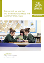 Assessment for learning and the National Literacy and Numeracy ...